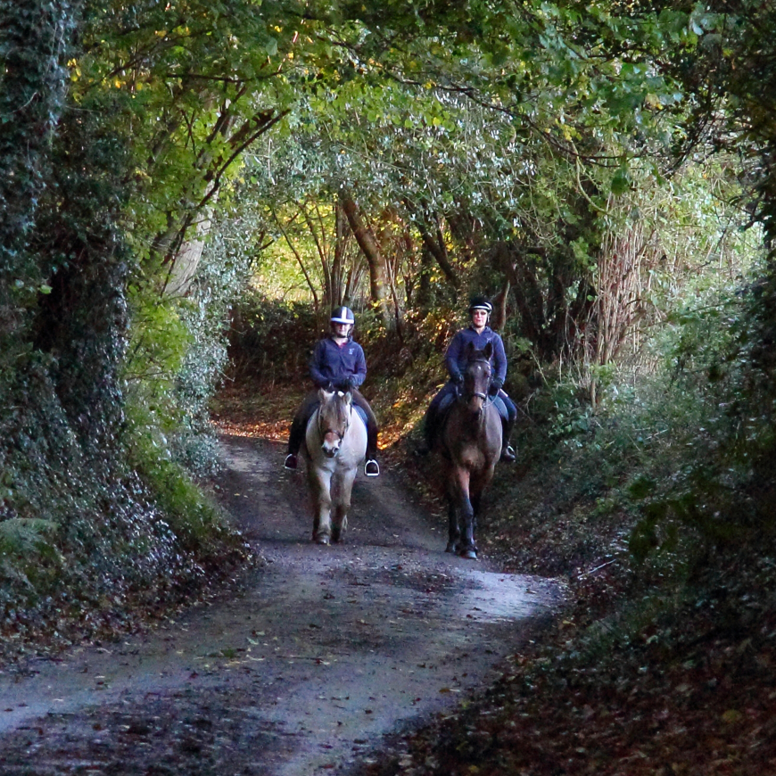 Facilities & Services – Hixham Hall Stables