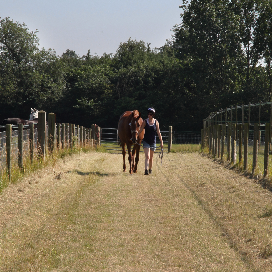 Facilities & Services – Hixham Hall Stables